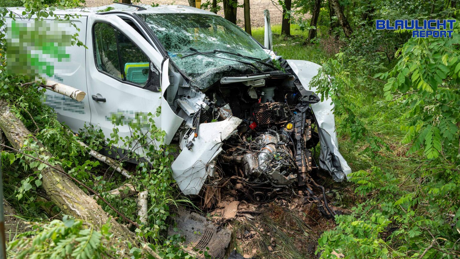 SCHWERER UNFALL: TRANSPORTER KRACHT GEGEN BAUM - Blaulichtreport Zittau